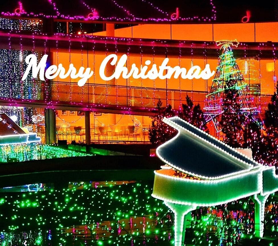 素敵なXmasをお過ごしください / まるさんのモーメント | YAMAP / ヤマップ