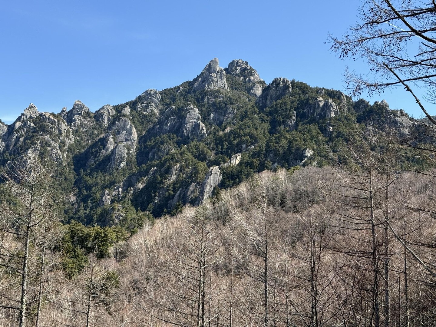 瑞牆山テント泊 / KANTAI山さんの瑞牆山・金峰山の活動データ | YAMAP / ヤマップ