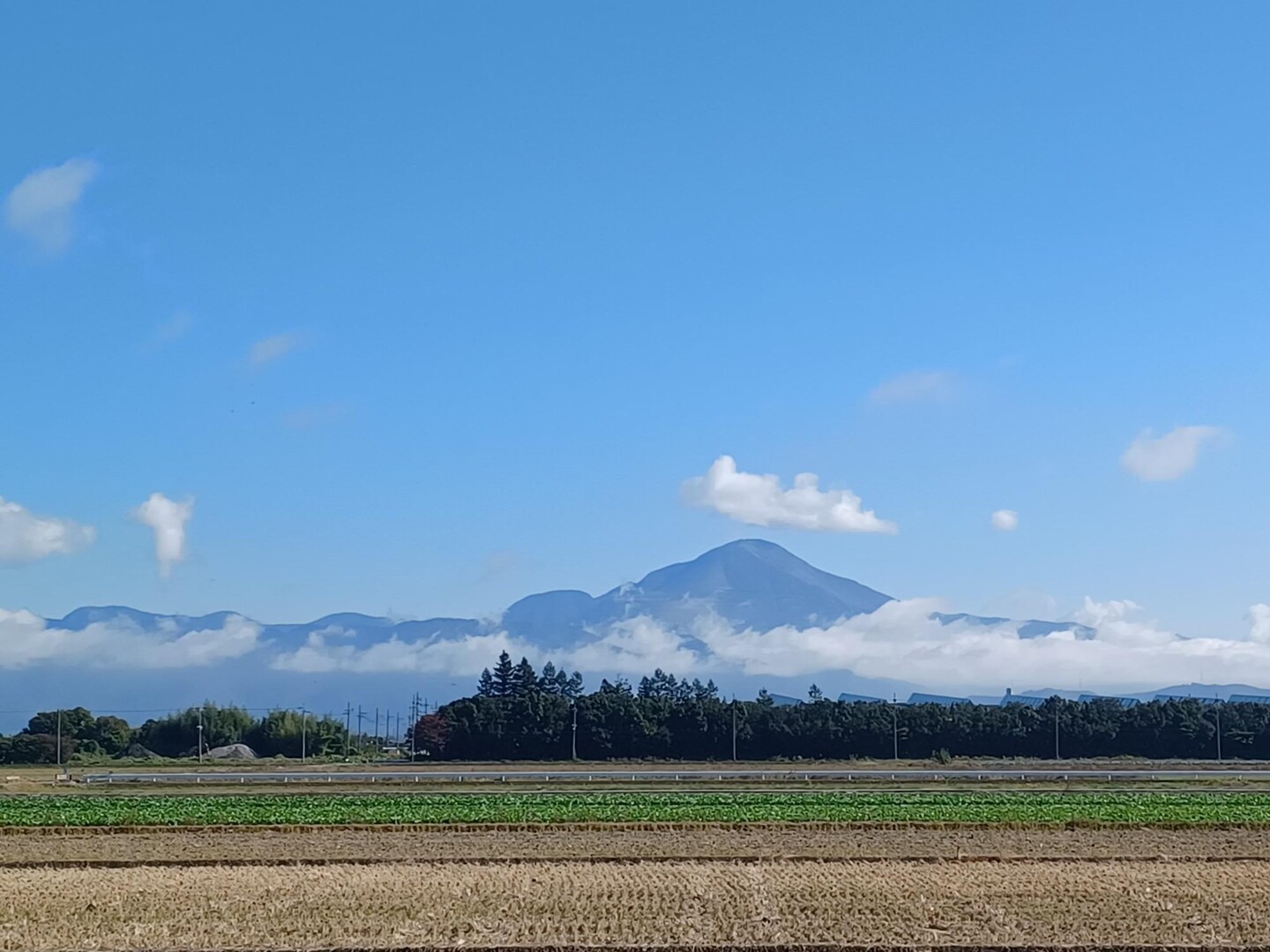 雨上がりの伊吹山 / Azy-mさんのモーメント | YAMAP / ヤマップ