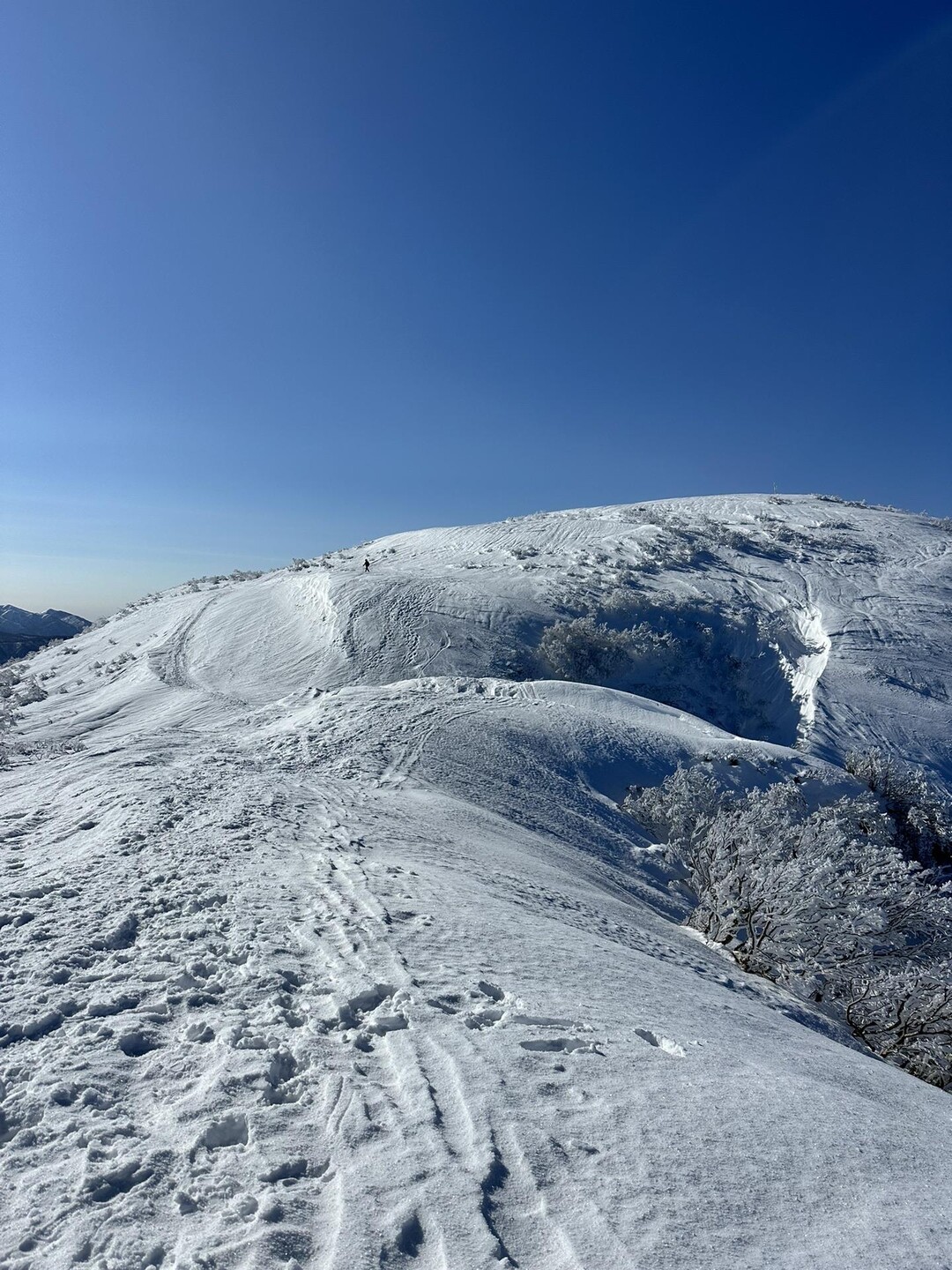 銀杏峰 / higeさんの銀杏峰・部子山の活動データ | YAMAP / ヤマップ