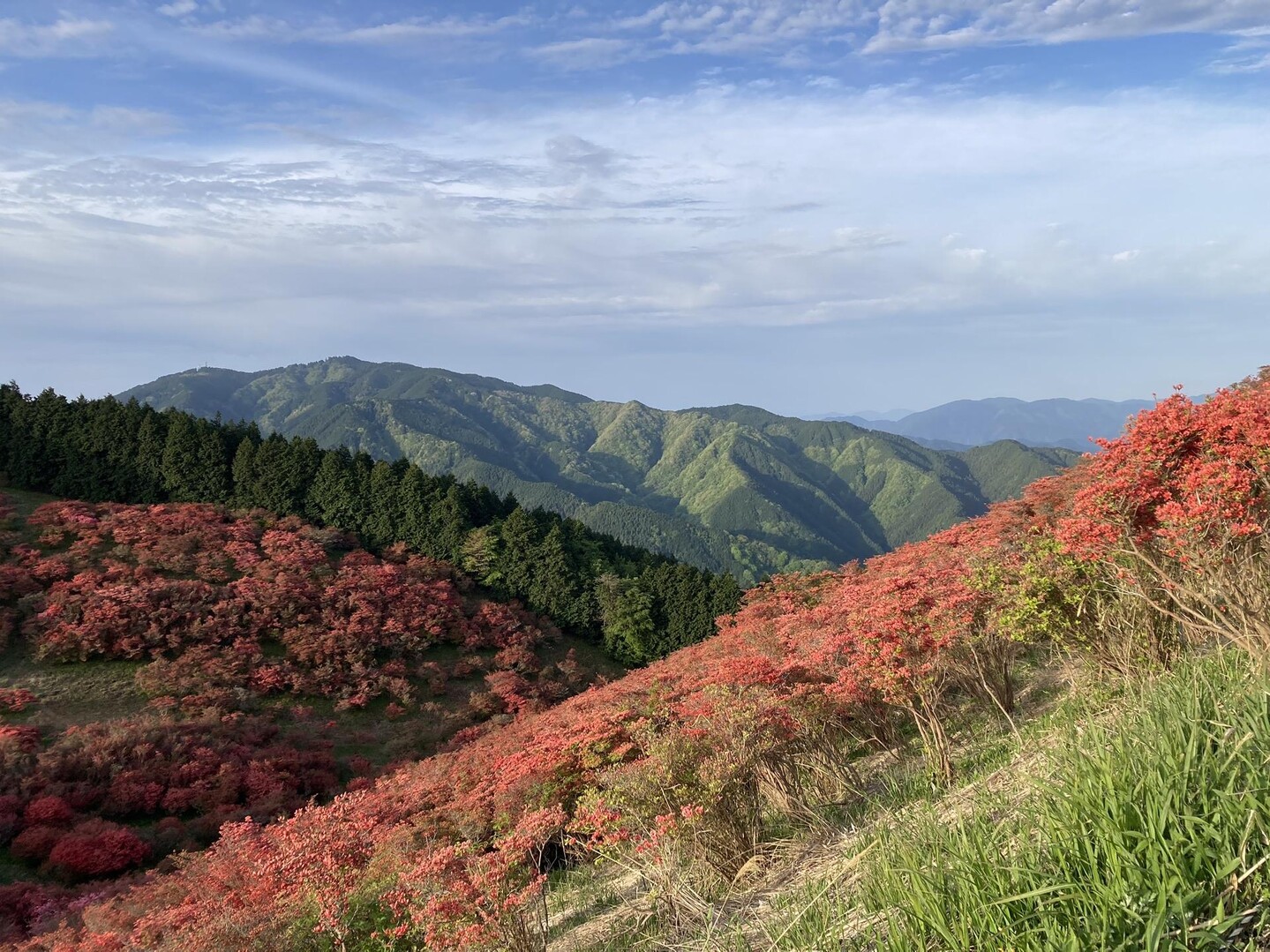 アサカツ / TQさんの金剛山・二上山・大和葛城山の活動データ | YAMAP / ヤマップ