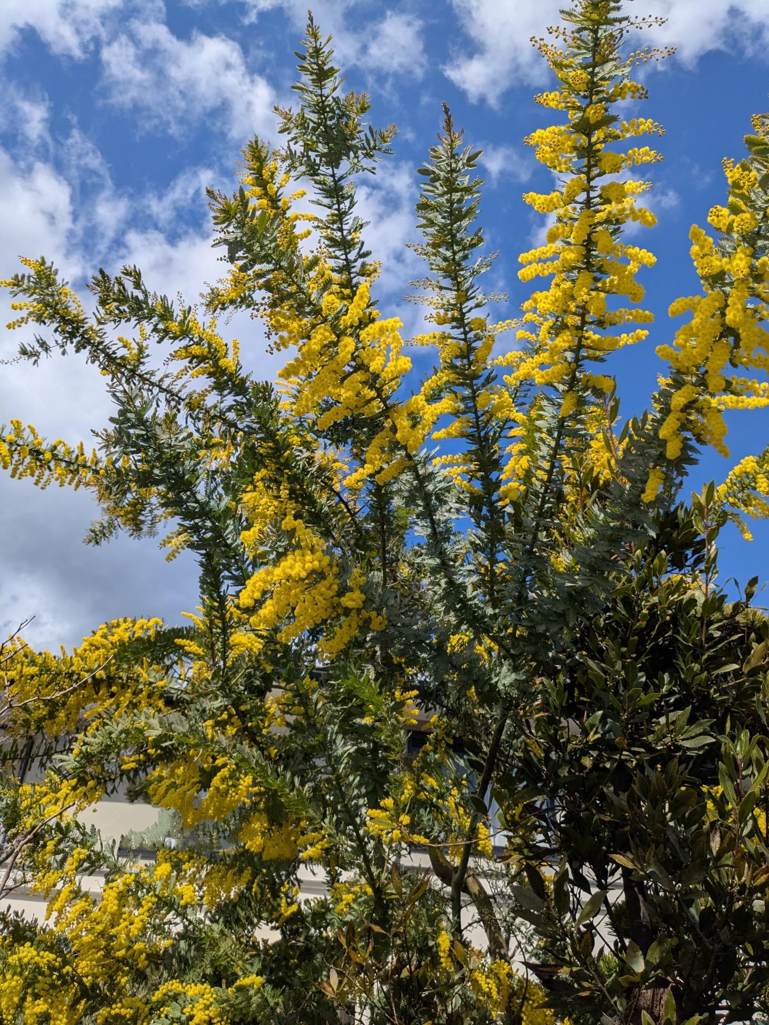 久しぶりに晴れたな〜と歩いていたら、なん... / Kaz🖤さんのモーメント | YAMAP / ヤマップ