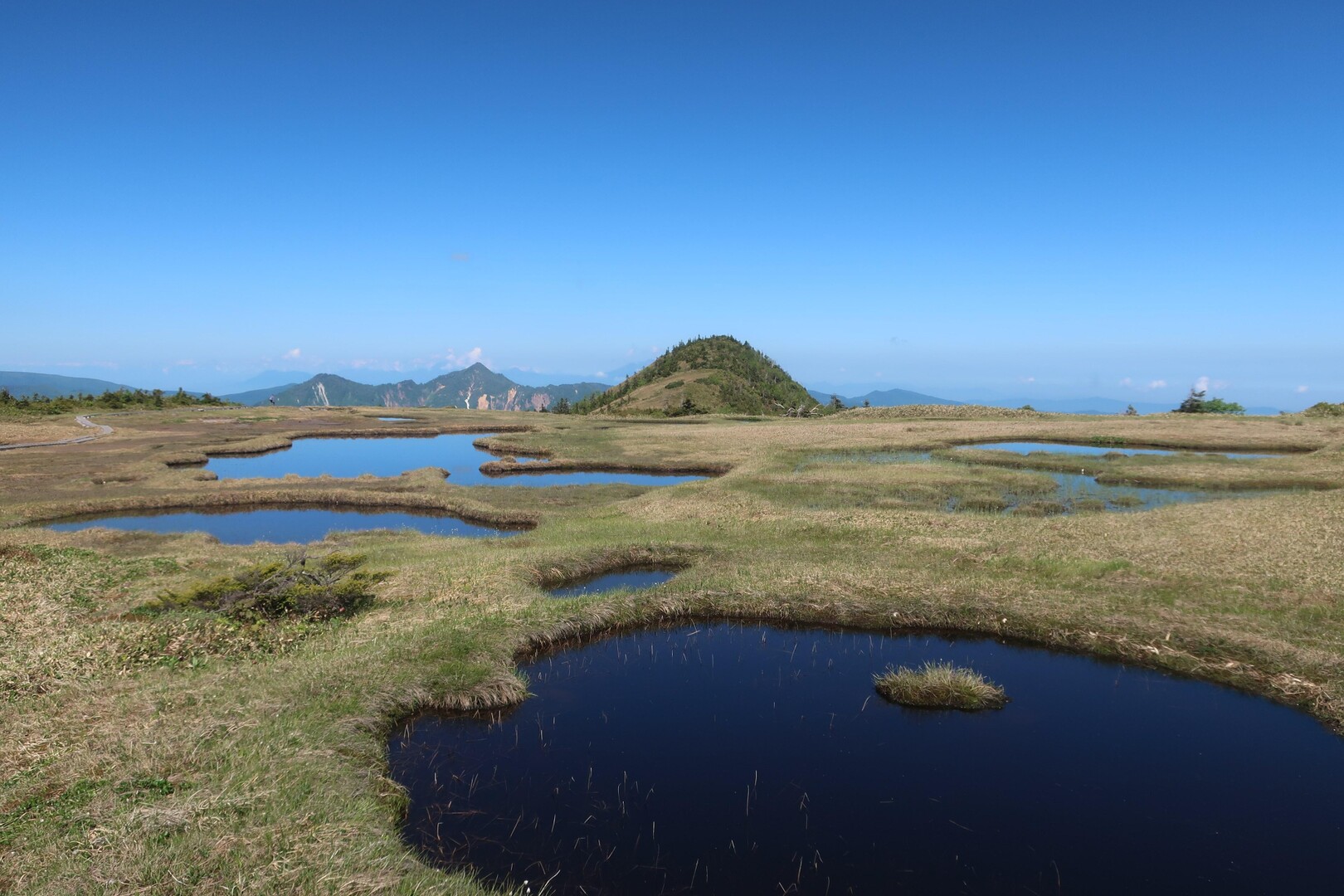 苗場山（初夏）小赤沢3合目P～頂上ピストン / ukonさんの苗場山・赤倉山・佐武流山の活動データ | YAMAP / ヤマップ