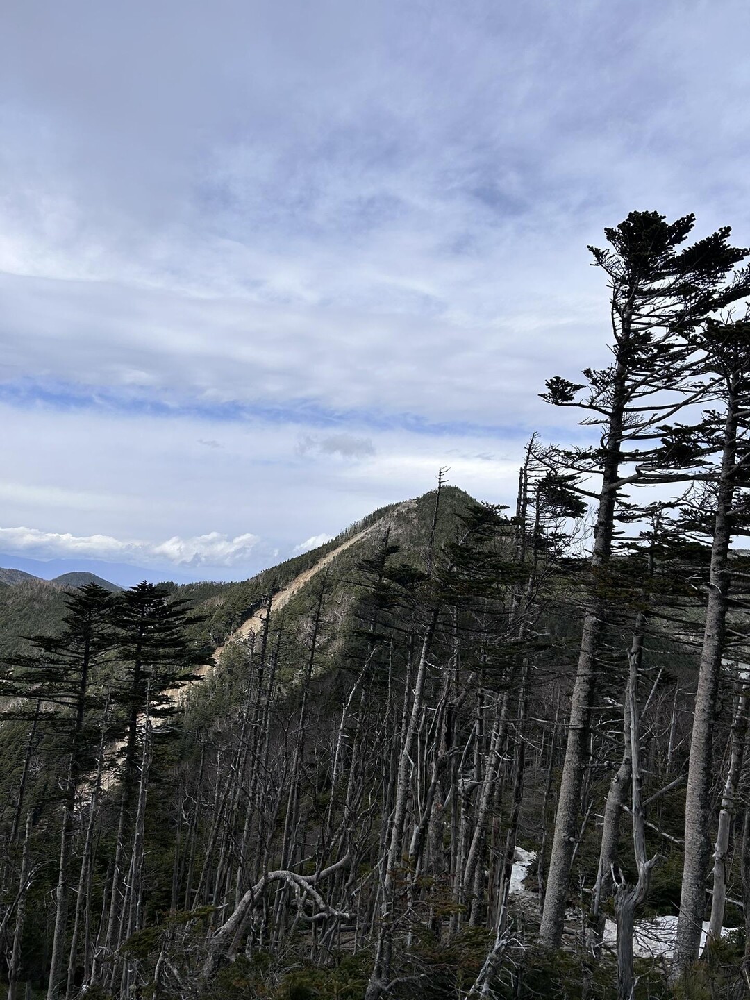 木賊山・甲武信ヶ岳 / MC HIROさんの甲武信ヶ岳の活動データ | YAMAP / ヤマップ