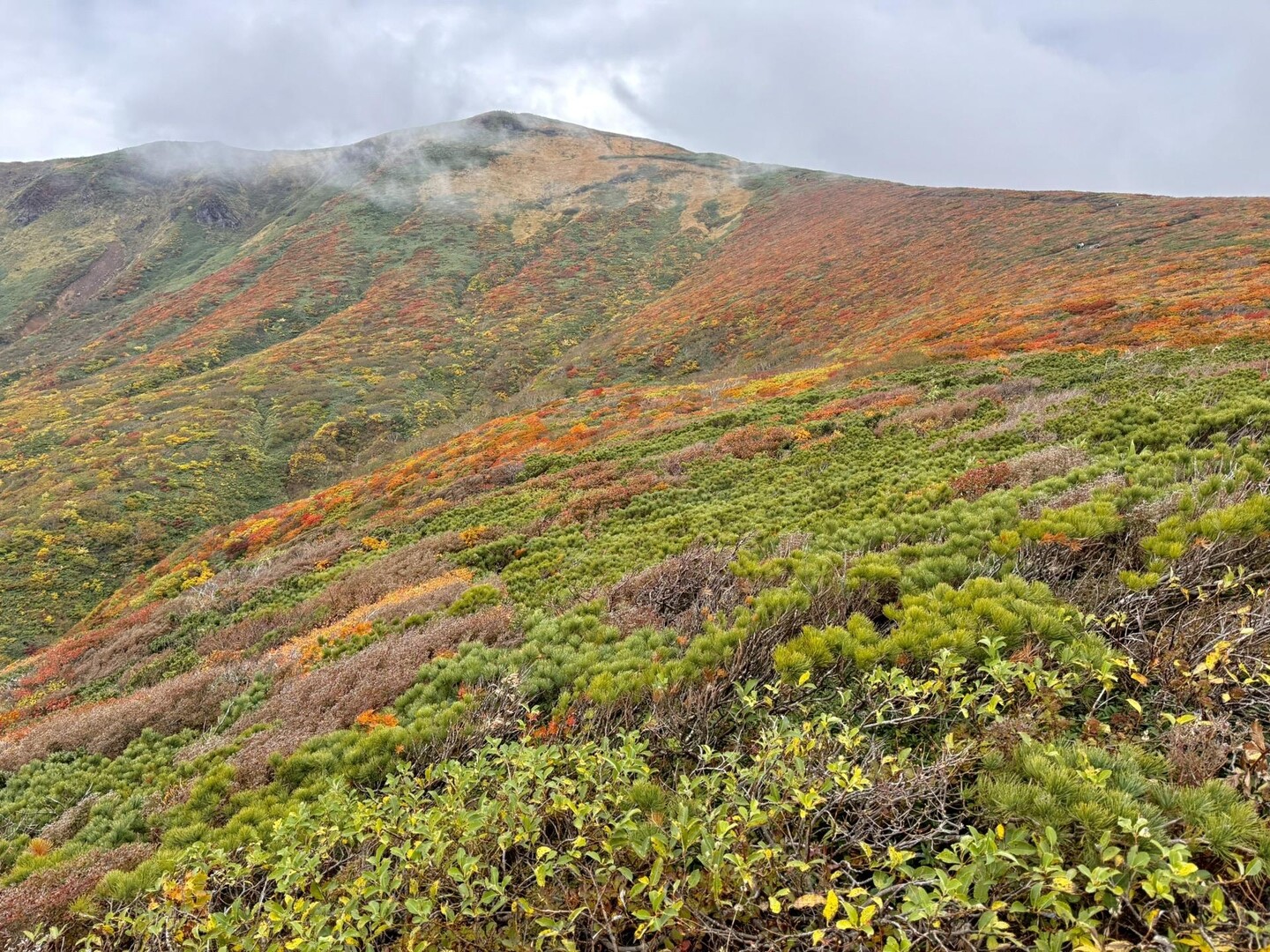 栗駒山 長雨が去り、もう直ぐ山に秋晴れ / ischanさんの栗駒山（須川岳）・秣岳・虚空蔵山の活動データ | YAMAP / ヤマップ
