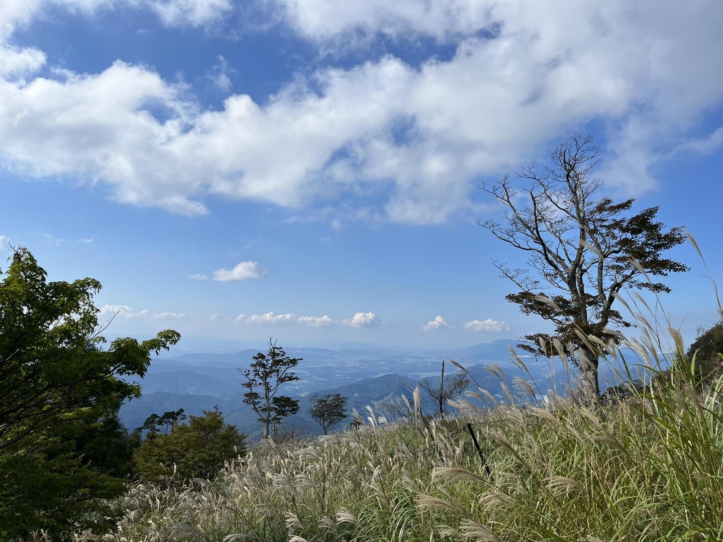 英彦山 / kateさんの英彦山の活動データ | YAMAP / ヤマップ