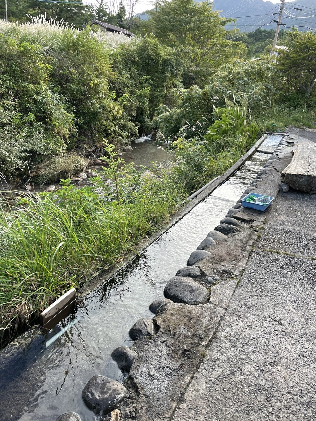 YS-153さんの投稿したフィールドメモ | YAMAP / ヤマップ