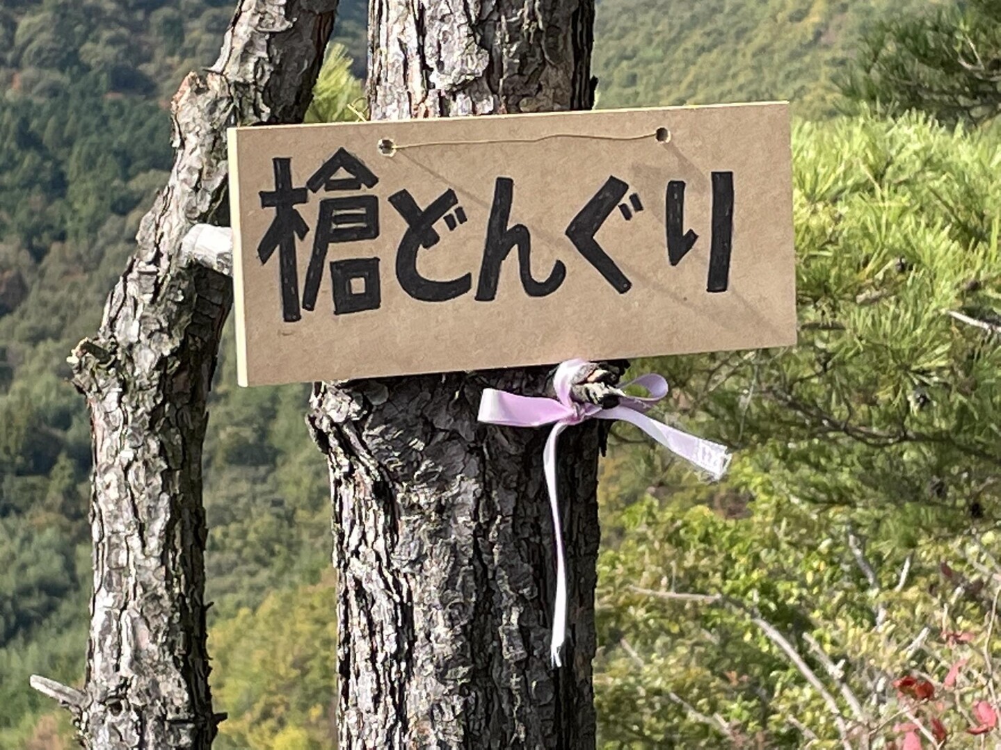 新ランドマーク4座を巡る どんぐり山 槍どんぐり？ 向前山 稲田山 / osamさんの各務原アルプス（関南アルプス）・八木三山の活動データ | YAMAP / ヤマップ