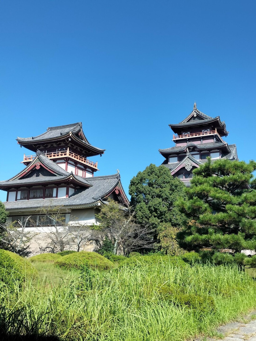 槇ノ尾山 / TERUTERUさんの京都一周トレイルの活動データ | YAMAP / ヤマップ