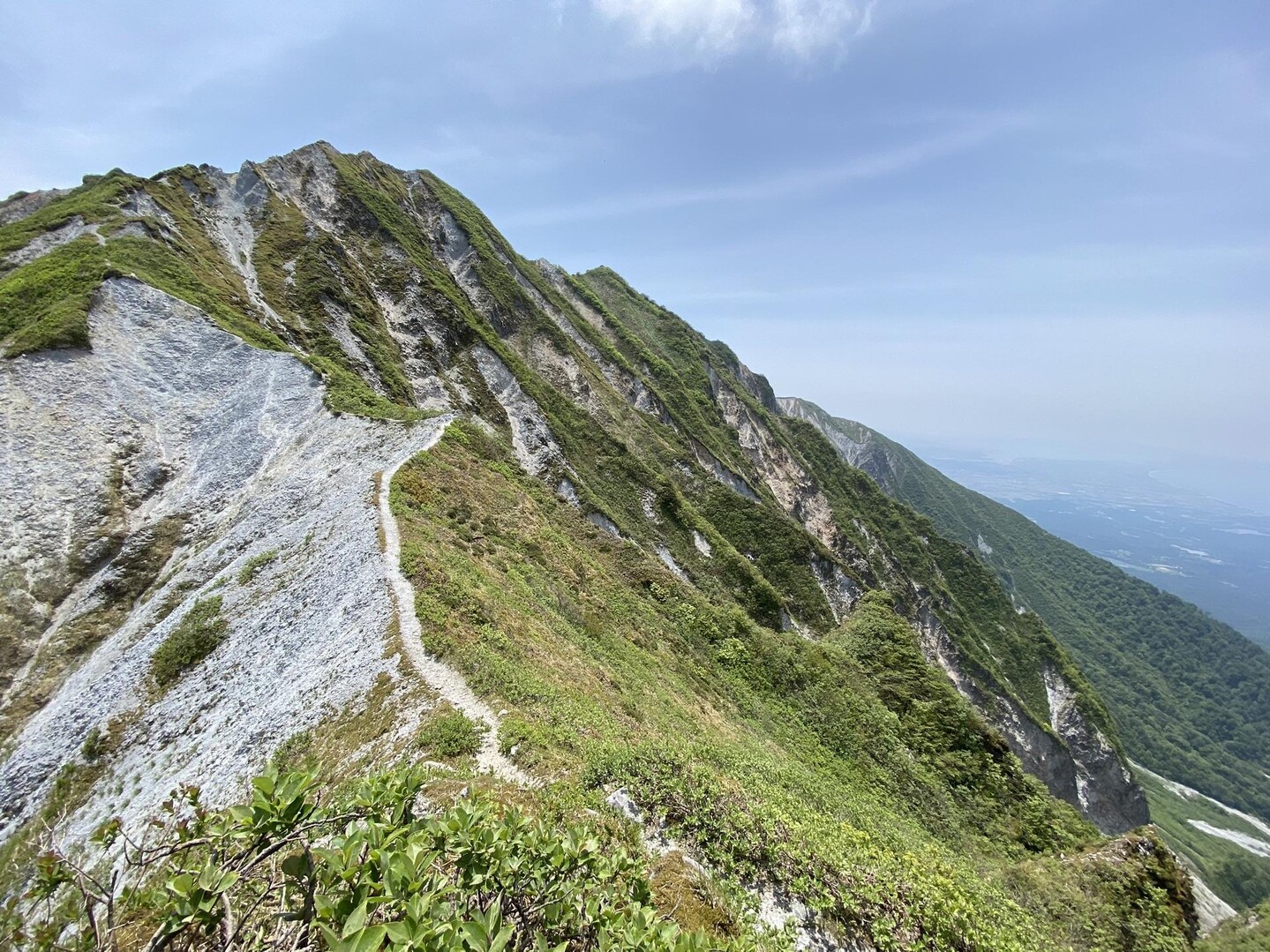 象ヶ鼻・P1636 / tonさんの大山・甲ヶ山・野田ヶ山の活動データ | YAMAP / ヤマップ