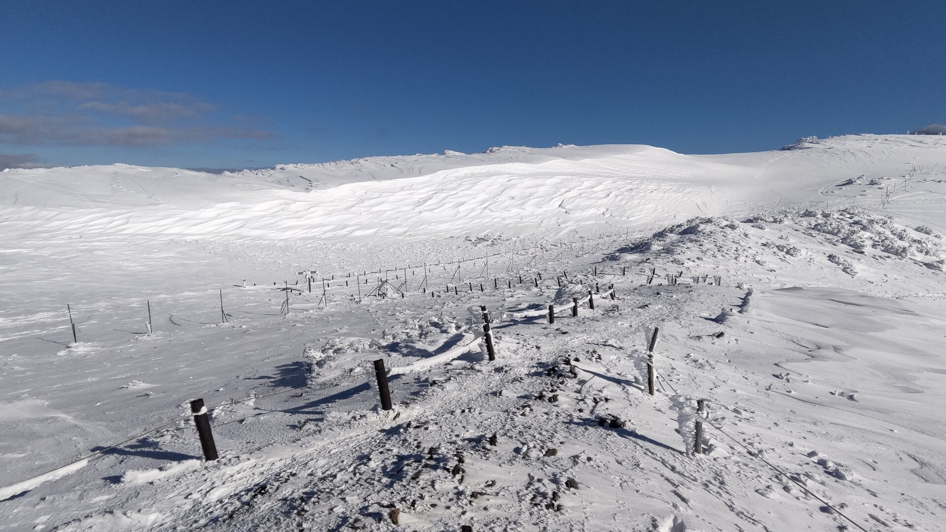 伊吹山 / モンチGf🙊さんの伊吹山・伊吹高原・御座峰の活動データ | YAMAP / ヤマップ