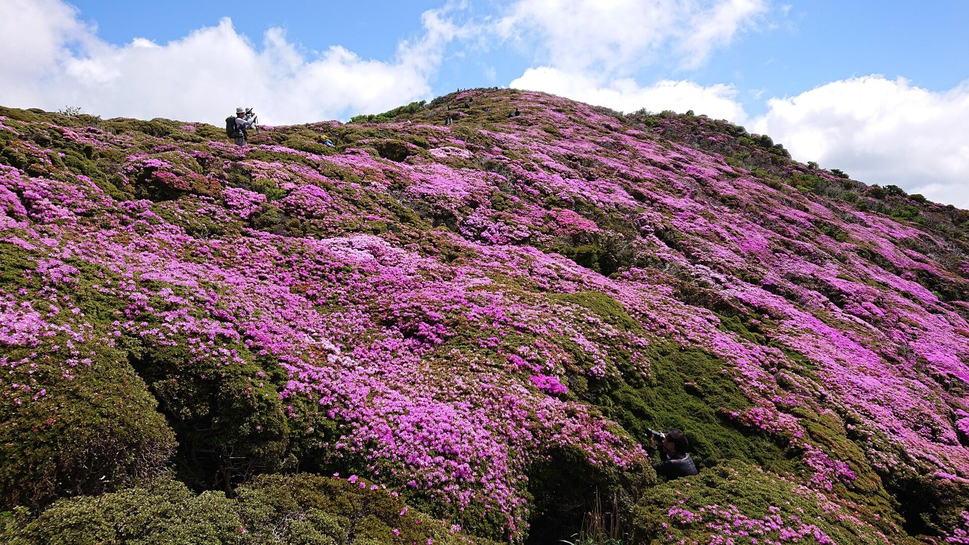 平治岳 / Sho OKさんの九重山（久住山）・大船山・星生山の活動データ | YAMAP / ヤマップ
