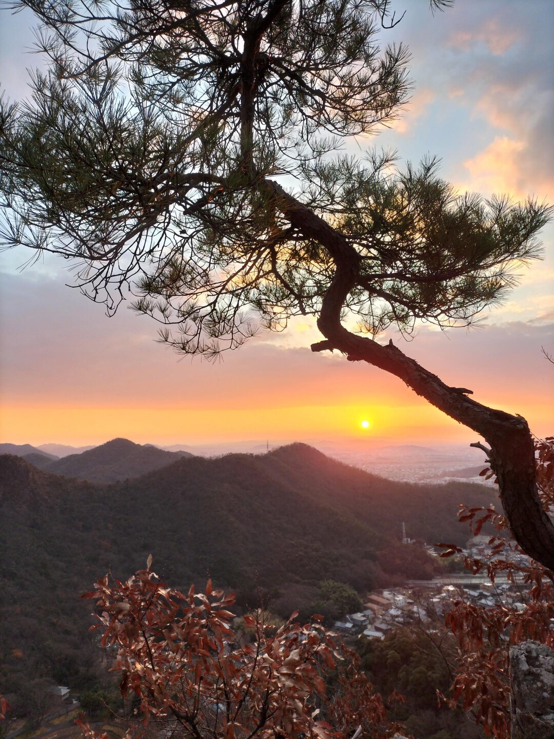 🏯kinka-zan GT / watoさんの金華山・洞山・舟伏山の活動データ | YAMAP / ヤマップ