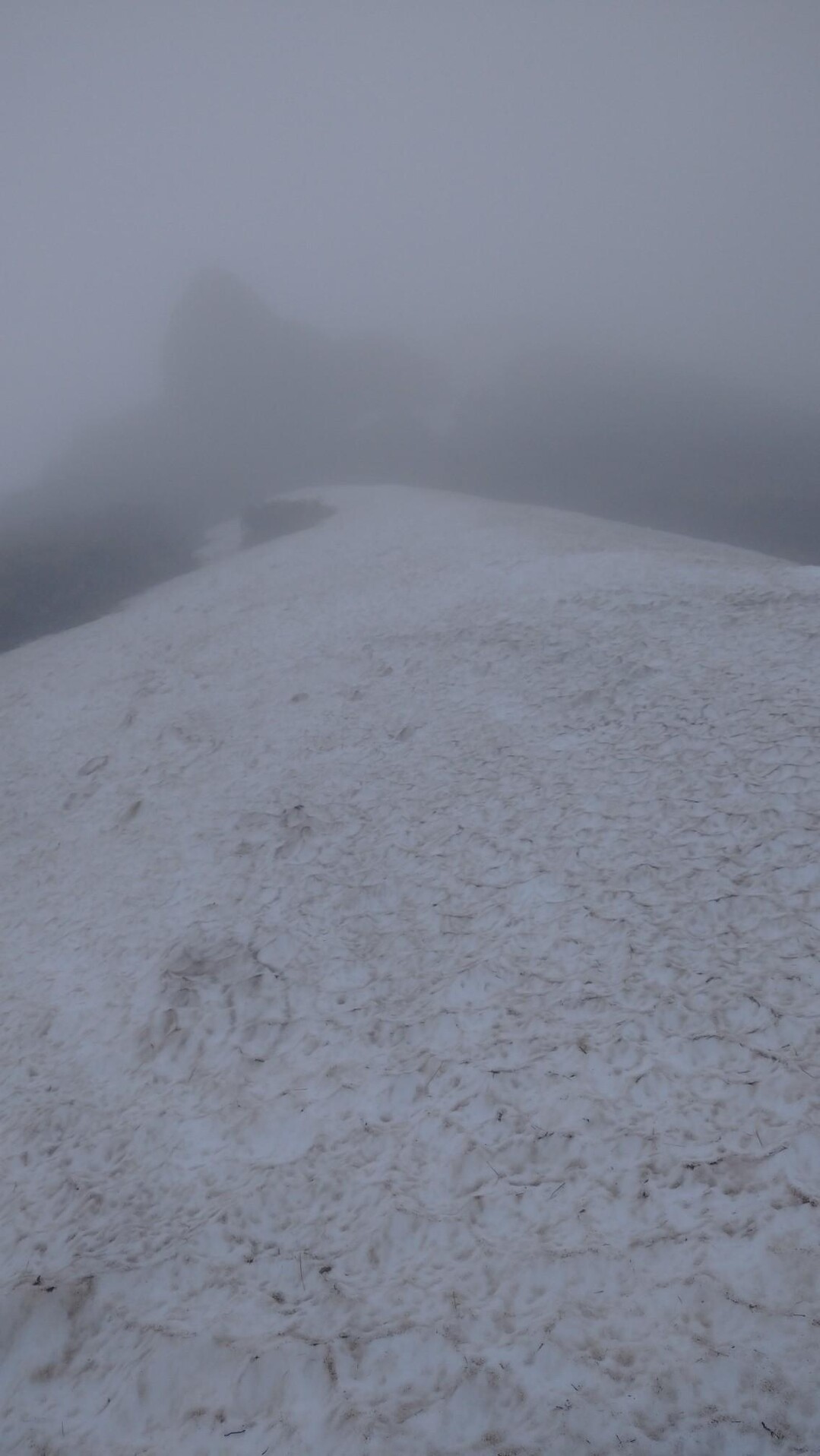 shinpeiさんの投稿したフィールドメモ | YAMAP / ヤマップ