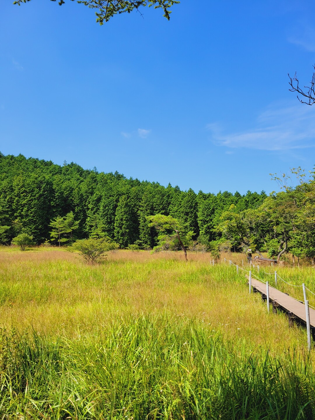 馬の背山・黒の田山 / yellさんの屏風山の活動データ | YAMAP / ヤマップ