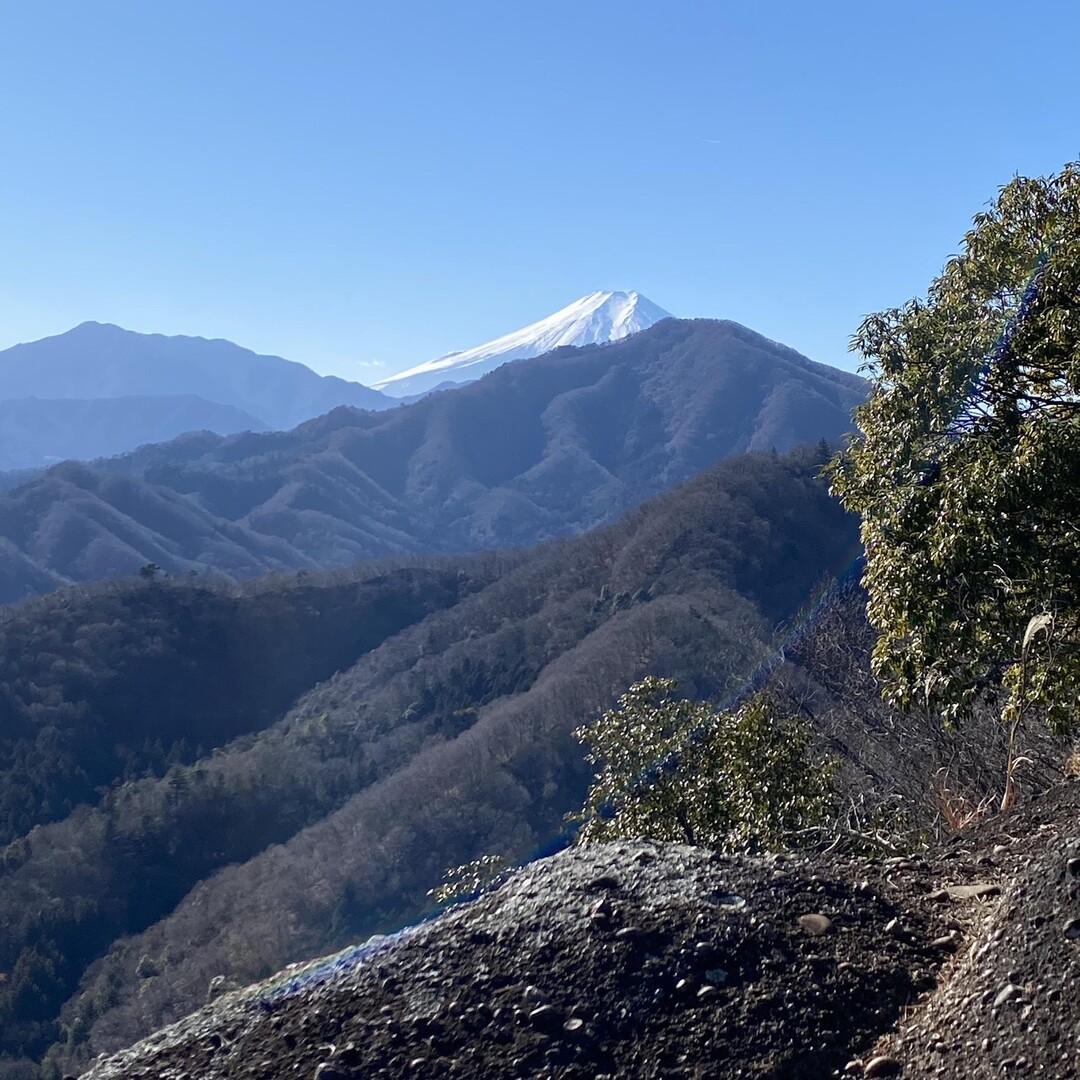 お伊勢山・花咲山・岩殿山 / J-BOYさんの雁ヶ腹摺山・岩殿山の活動日記 | YAMAP / ヤマップ