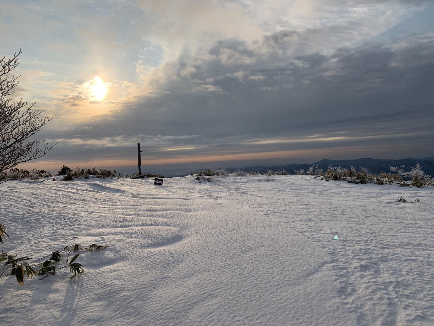 初ワカンの十方山・奥三ツ倉・前三ツ倉・丸子頭・彦八の頭・彦八・内黒山 / koma_xさんの十方山の活動データ | YAMAP / ヤマップ