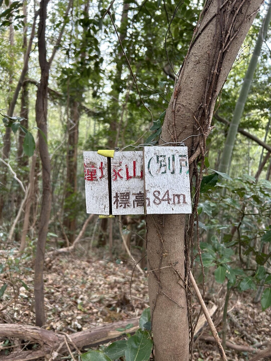 用事のついでにちょいと別所山 / t@ke-bowさんの井野山の活動データ | YAMAP / ヤマップ