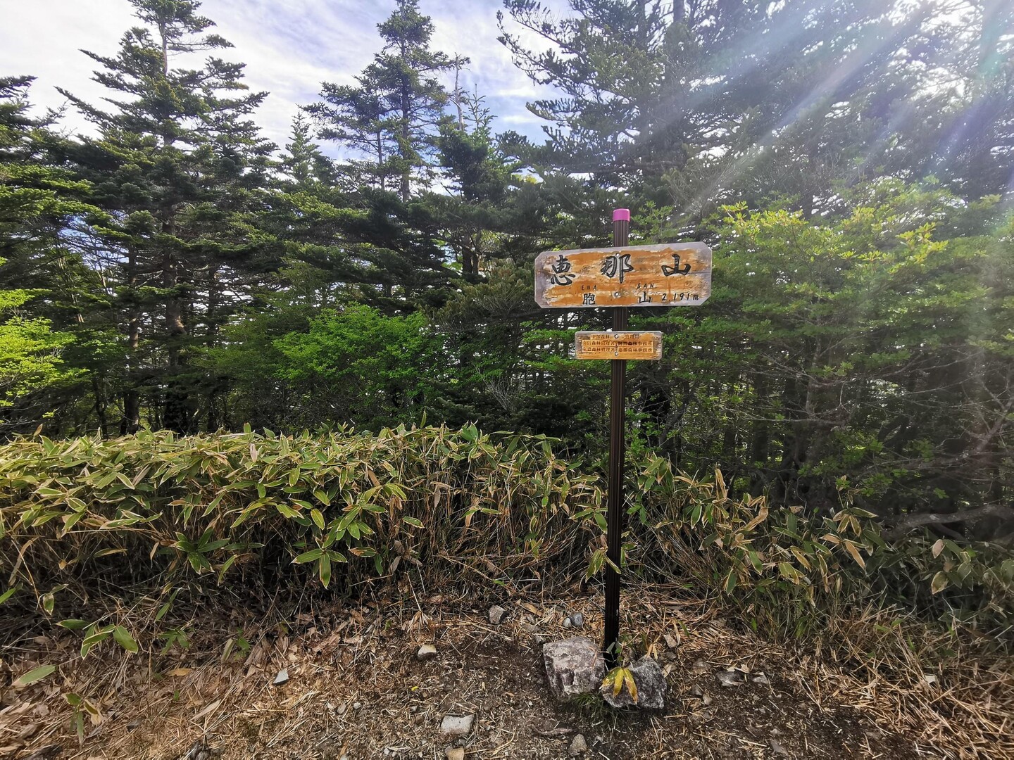 Mt Ena (恵那山) / Jordiさんの恵那山・大判山・神坂山の活動データ | YAMAP / ヤマップ