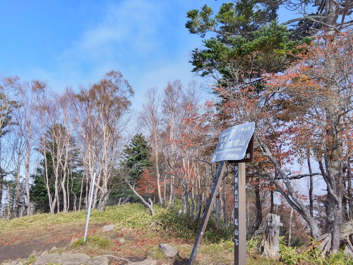 牛奥ノ雁ヶ腹摺山・小金沢山・天狗棚山・熊沢山 / isokitiさんの大菩薩嶺・鶏冠山・大マテイ山の活動データ | YAMAP / ヤマップ