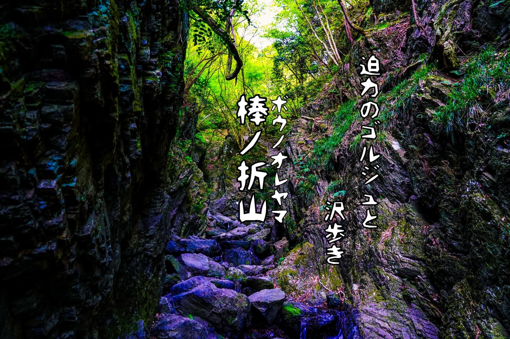 迫力のゴルジュと沢歩き👣棒ノ折山⛰️ / Riot Kさんの棒ノ折山（棒ノ嶺）の活動データ | YAMAP / ヤマップ