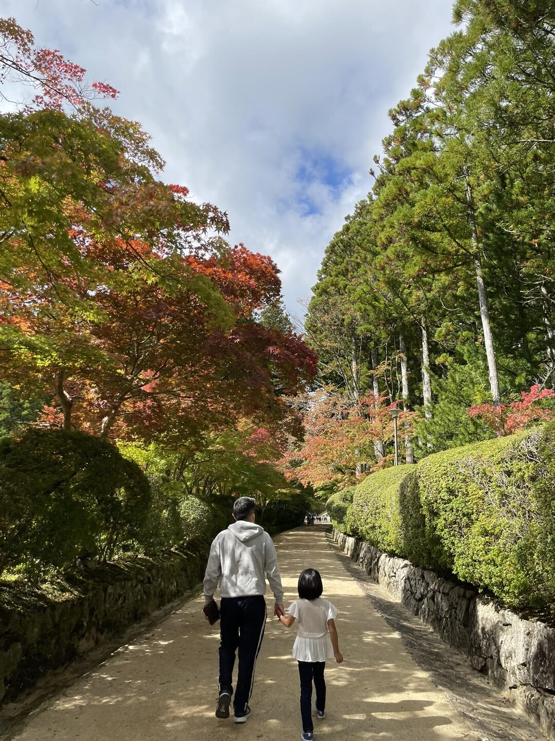 からの高野山 / ☆taemon☆さんのモーメント | YAMAP / ヤマップ