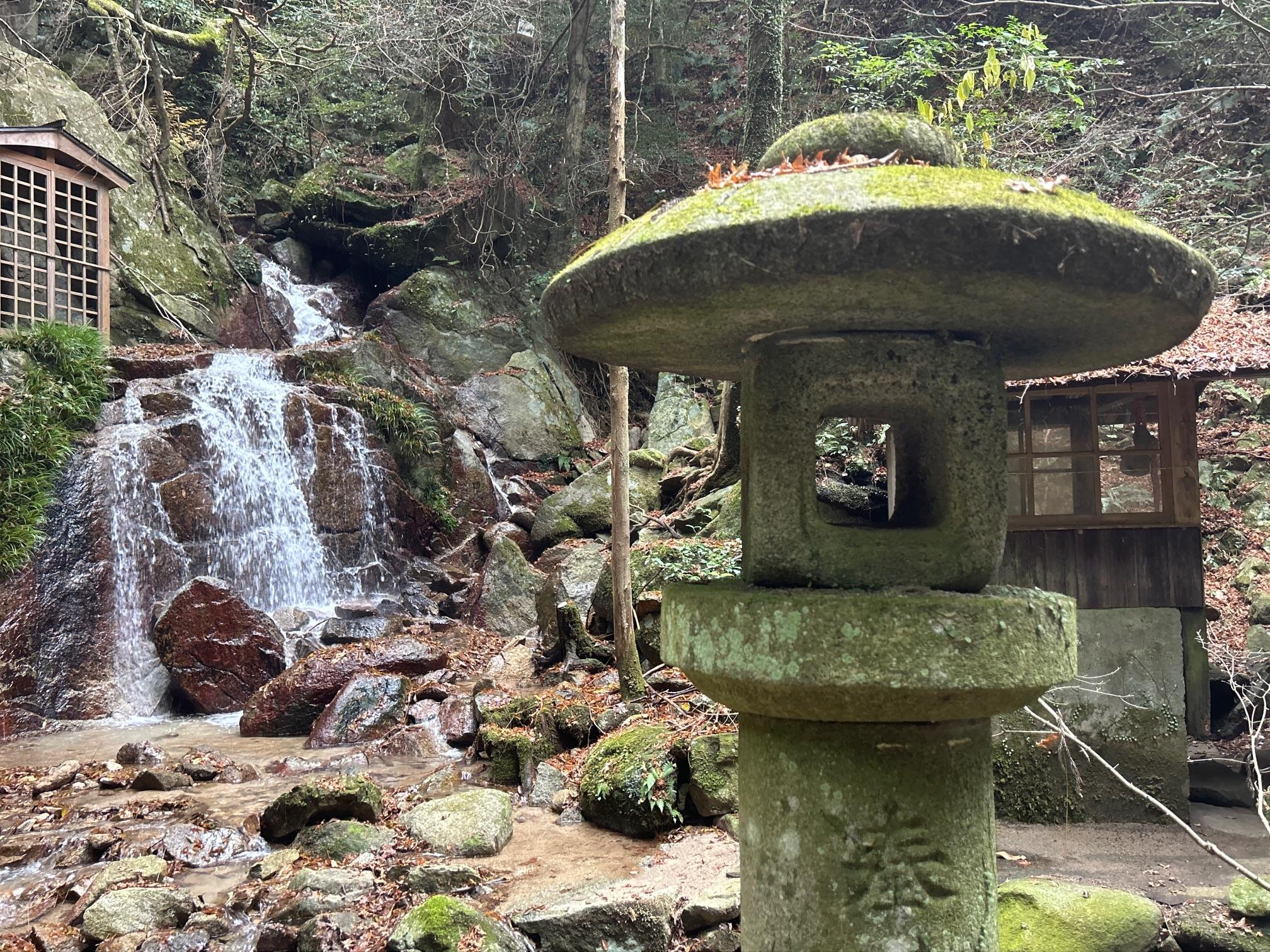 砥上岳から九州自然歩道を秋月まで / yes_csさんの大根地山の活動データ | YAMAP / ヤマップ