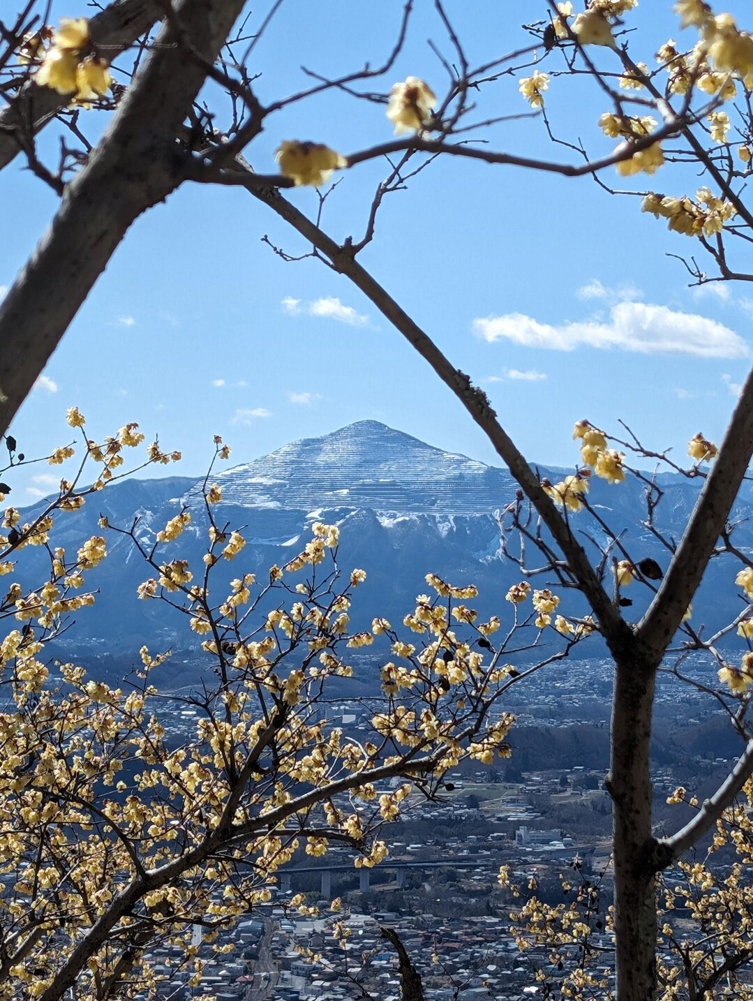 天狗山・宝登山 / meeさんの宝登山・長瀞アルプス・不動山・陣見山・鐘撞堂山の活動データ | YAMAP / ヤマップ