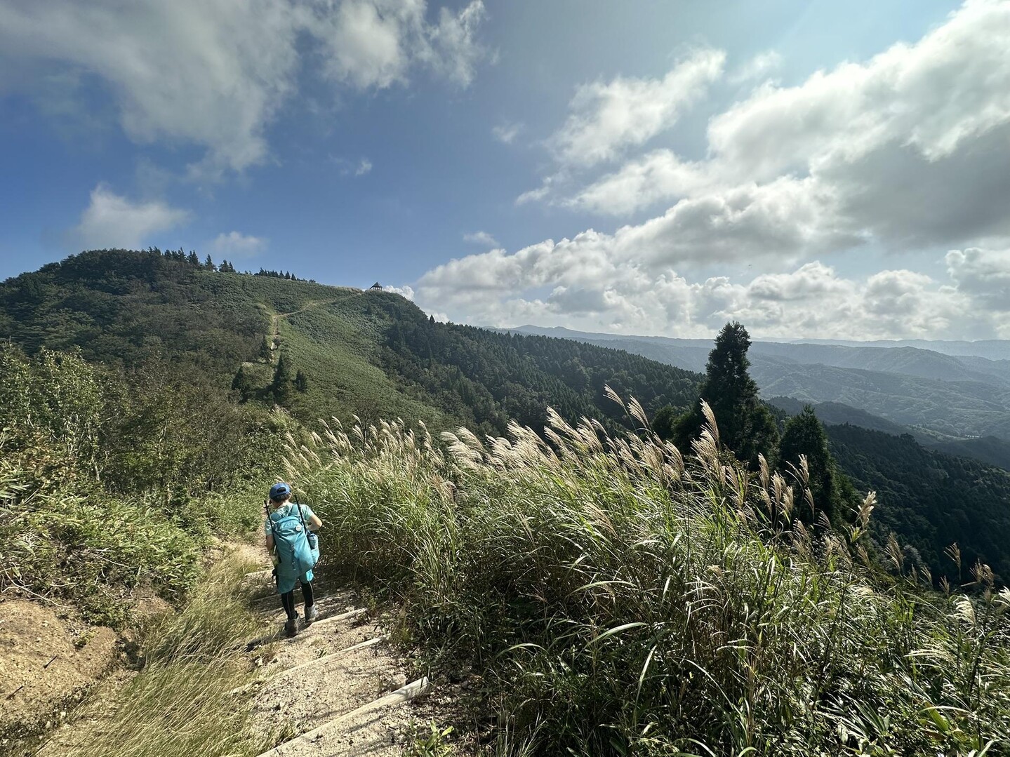 丸山・ブナの谷頭・霧ヶ原・伯州山 / boziiさんの伯州山・霧ヶ原の活動データ | YAMAP / ヤマップ