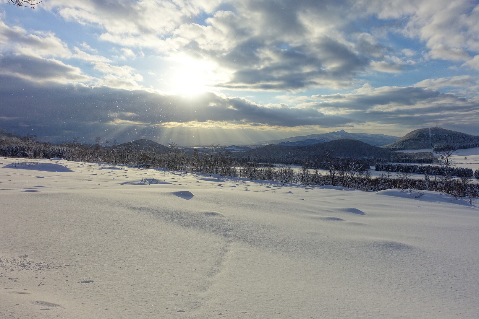 尻別岳989峰 西斜面-2020-12-22 / moさんの尻別岳の活動データ | YAMAP / ヤマップ