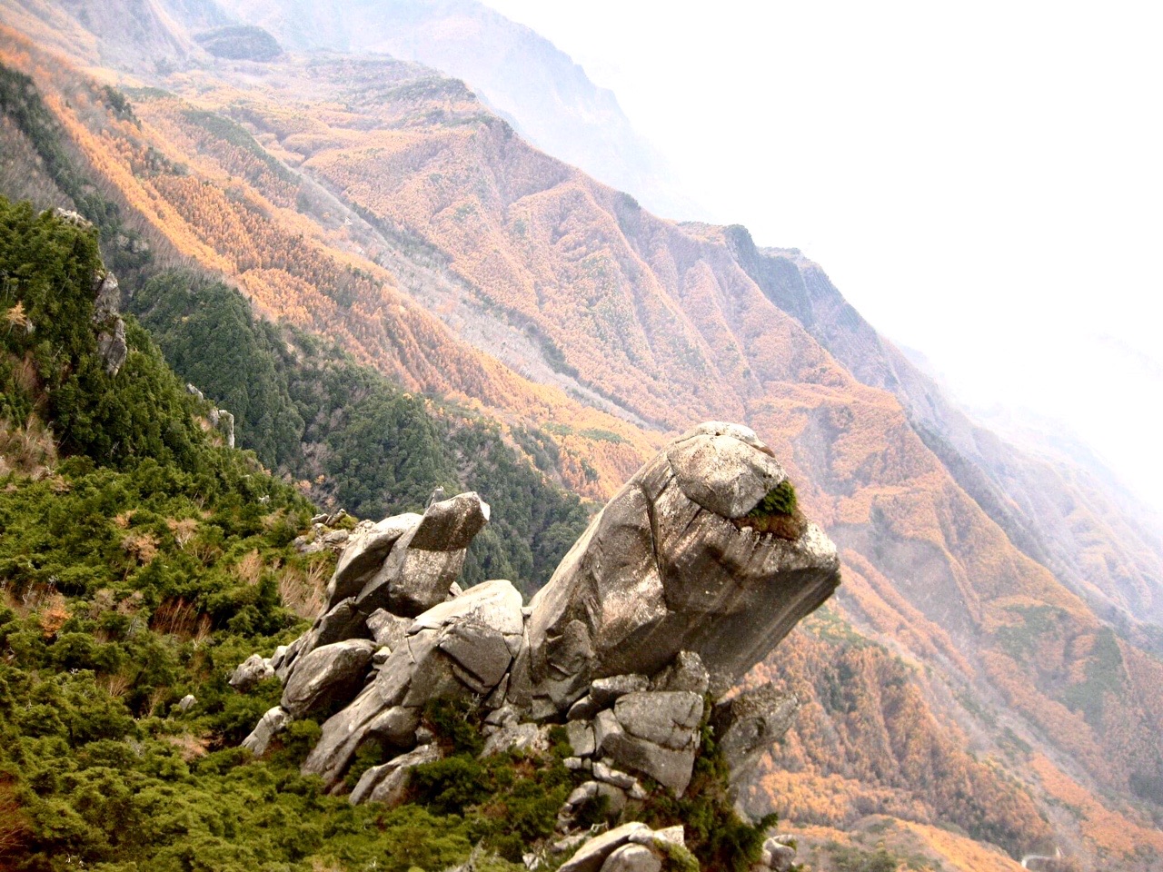 山が黄色く染まるのを初めて見た瞬間！ 瑞... / Mountains & Flowers Hiroさんのモーメント | YAMAP / ヤマップ