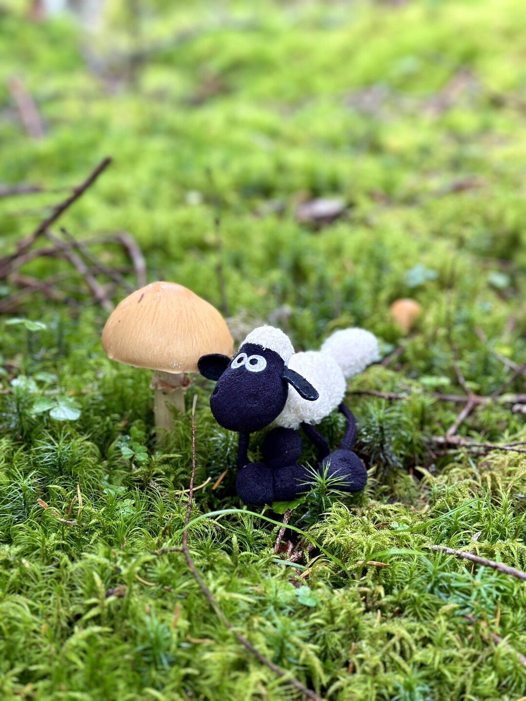 るんなの夏の大冒険 〜硫黄岳とオーレン小屋〜 R6 #21 / 🐑るんな꒰ᵕ⑅̆ᵕ꒱さんの八ヶ岳（赤岳・硫黄岳・天狗岳）の活動データ | YAMAP / ヤマップ