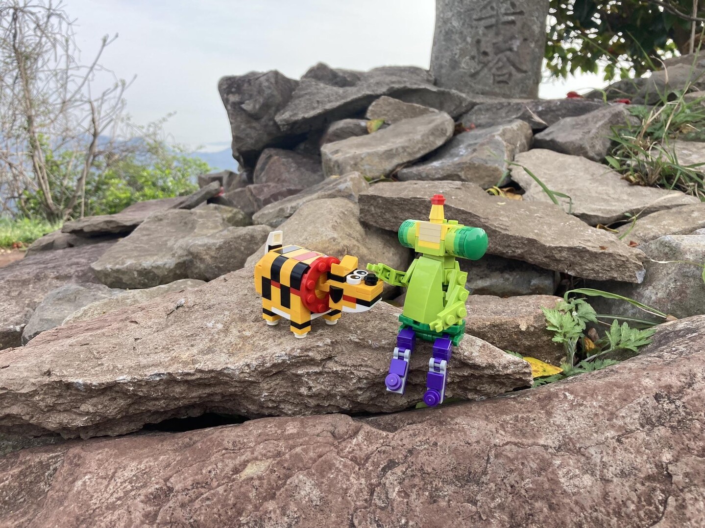 可也山 / Suyamaさんの可也山・火山の活動データ | YAMAP / ヤマップ