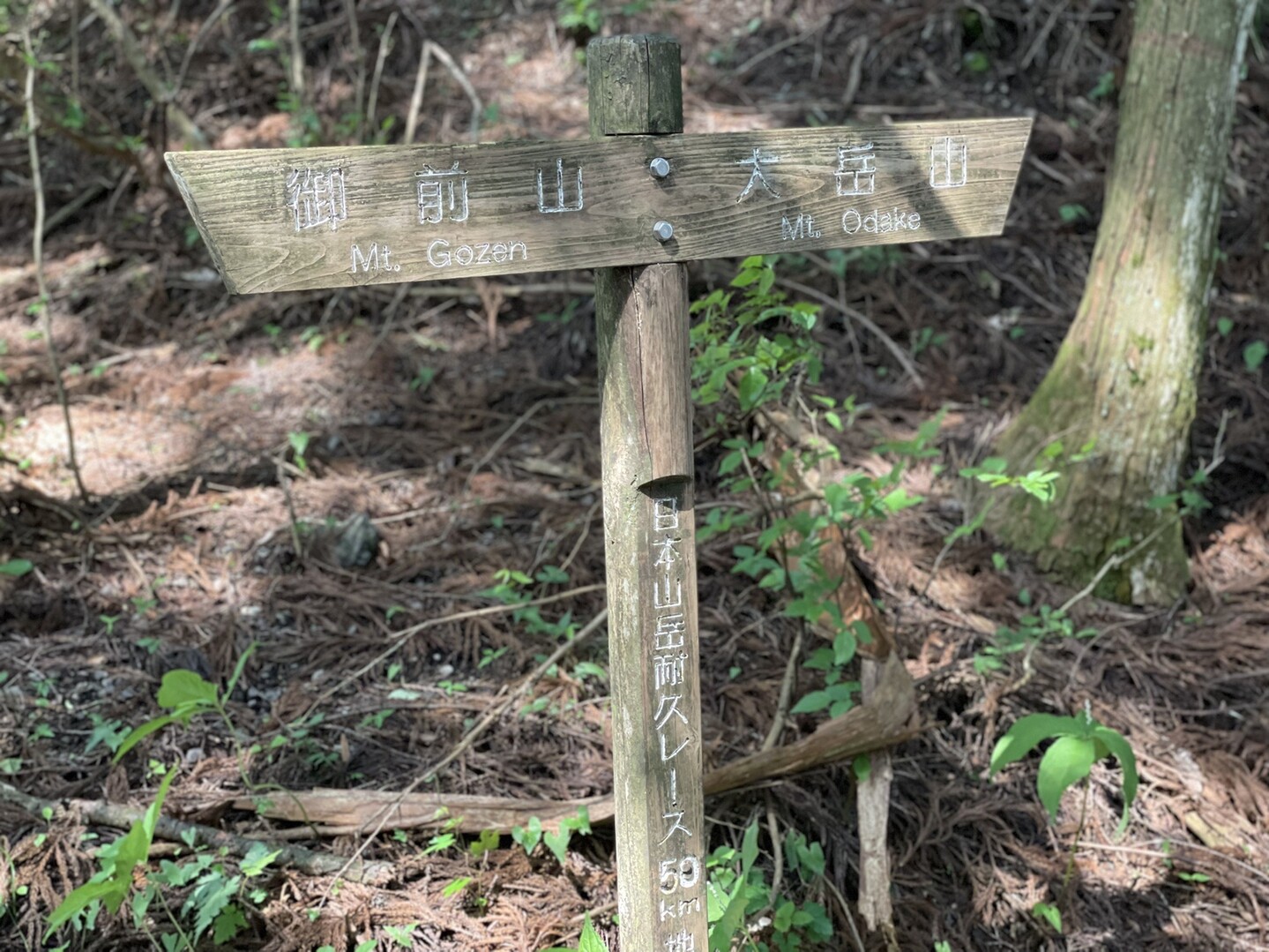 【熊に遭遇‼︎奥多摩縦走（後半）】都民の森〜三頭山〜御前山〜大岳山〜御嶽山〜日の出山〜武蔵五日市駅 三頭山・槇寄山・土俵岳の写真23枚目