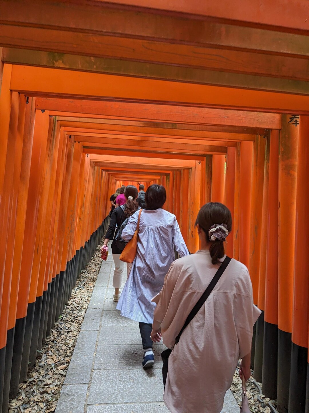 稲荷山＋観光🎶 / HIDEさんの大文字山・如意ヶ嶽・稲荷山の活動データ | YAMAP / ヤマップ