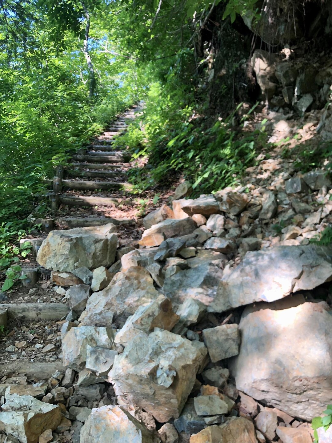 tataさんの投稿したフィールドメモ | YAMAP / ヤマップ