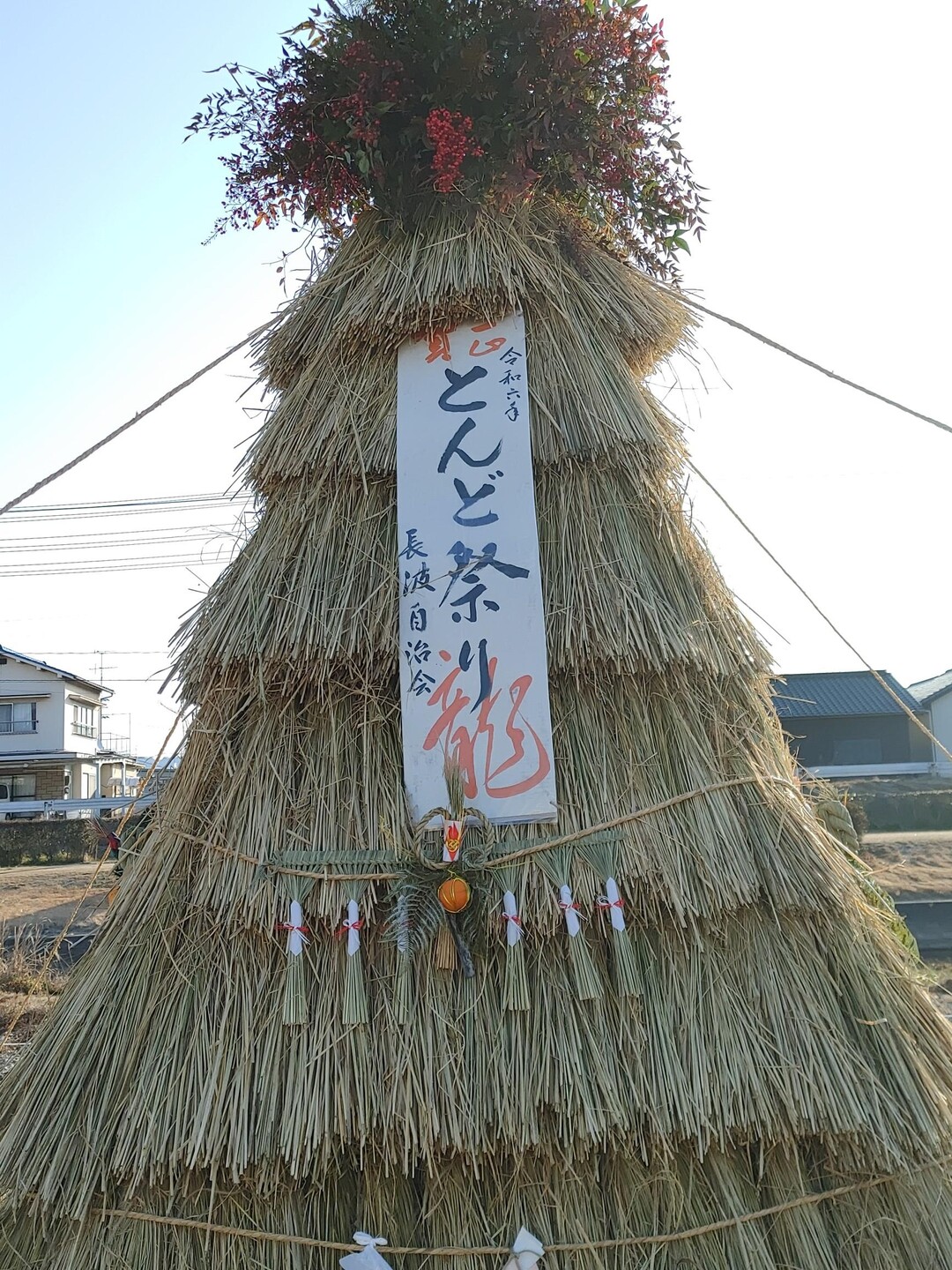 ☀️今日のお散歩🎶🐺🐩😊💮 良... / GHハコさんのモーメント | YAMAP / ヤマップ