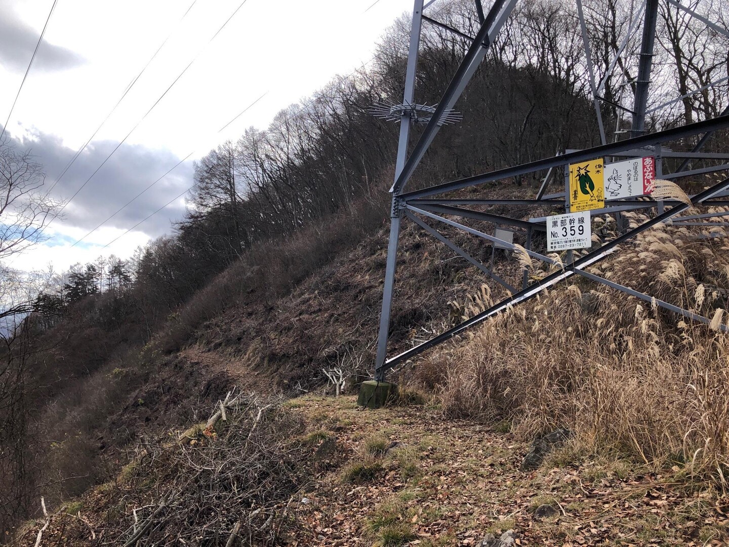 SamuSamuさんの投稿したフィールドメモ | YAMAP / ヤマップ