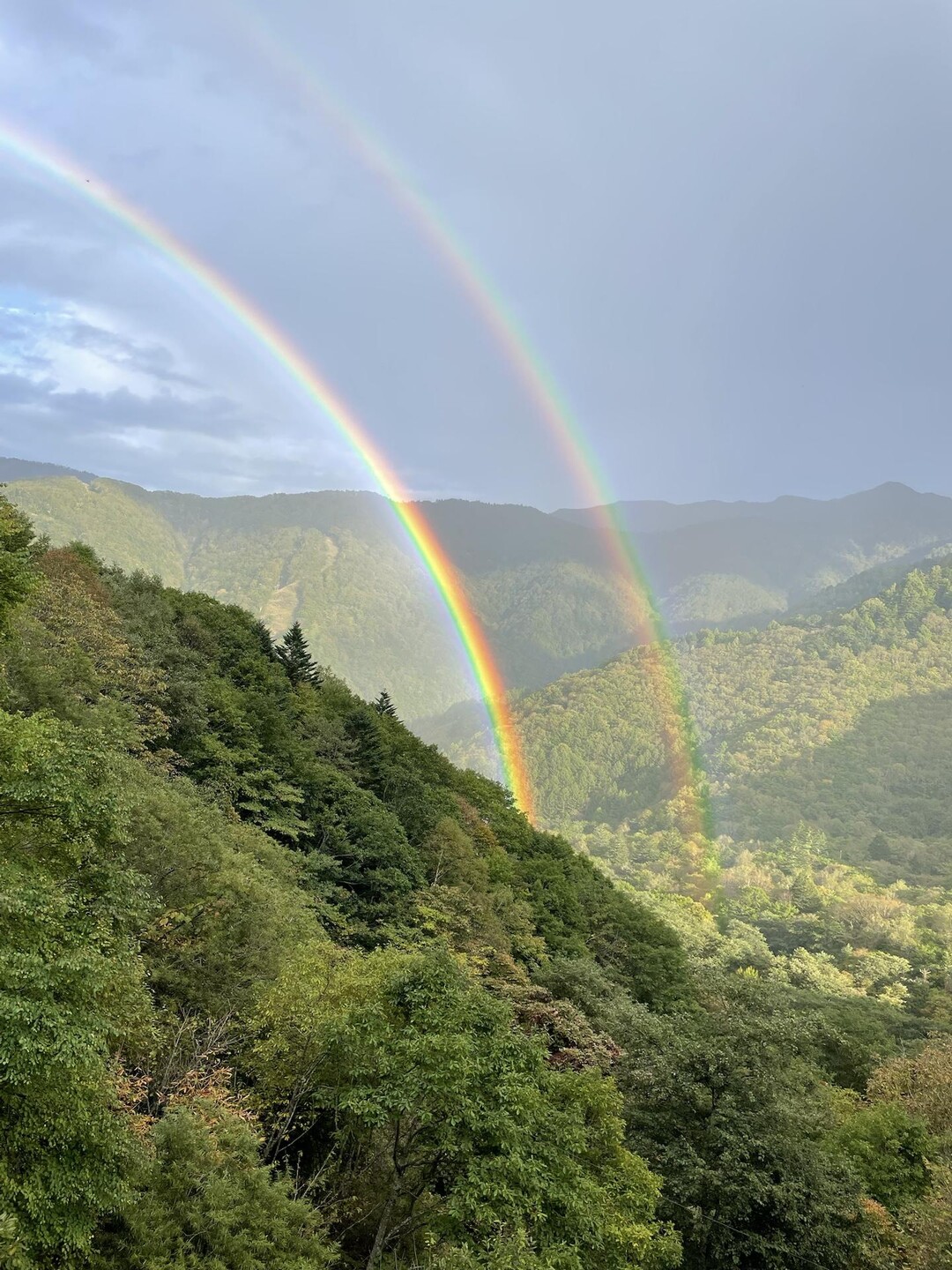 初めて雷鳥に会えた🙌乗鞍岳（剣ヶ峰） / mikiさんの乗鞍岳の活動データ | YAMAP / ヤマップ