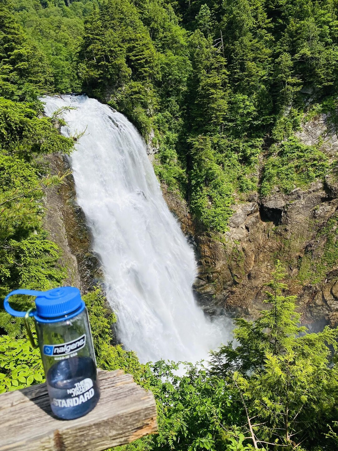 TV再放送「3県から行く夏の尾瀬路」 昨... / naturaさんのモーメント | YAMAP / ヤマップ