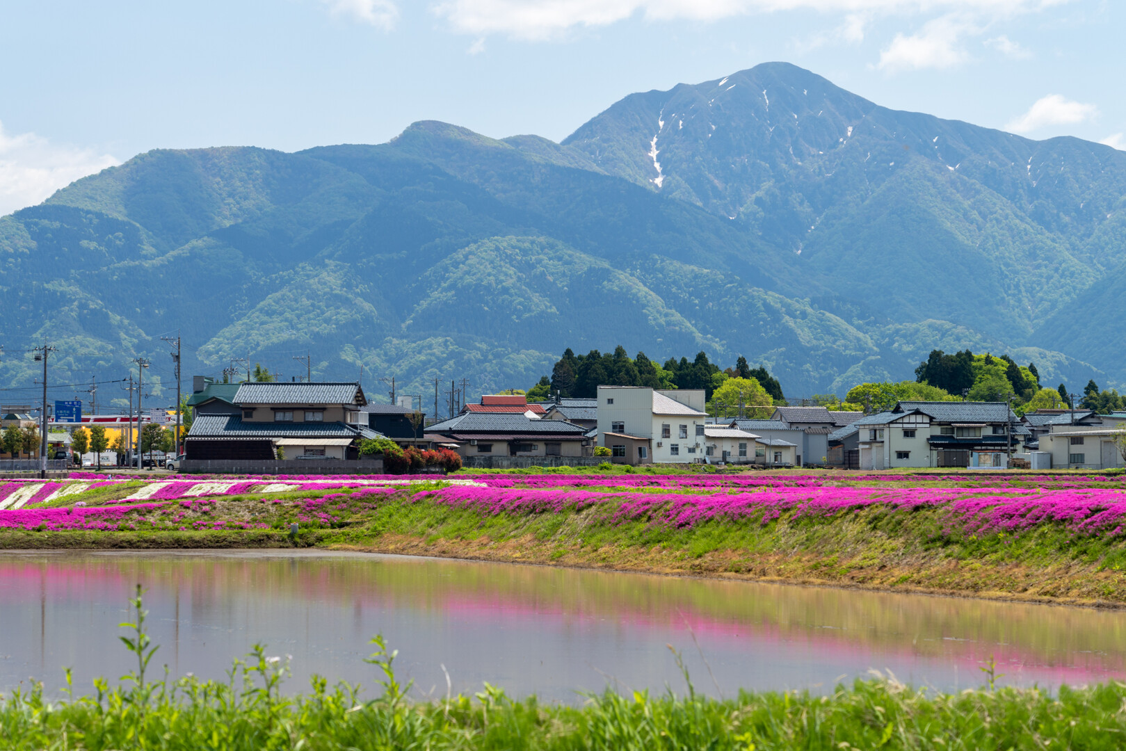 荒島岳と芝桜。GW中の旅行で見た荒島岳、... / ナオさんのモーメント | YAMAP / ヤマップ