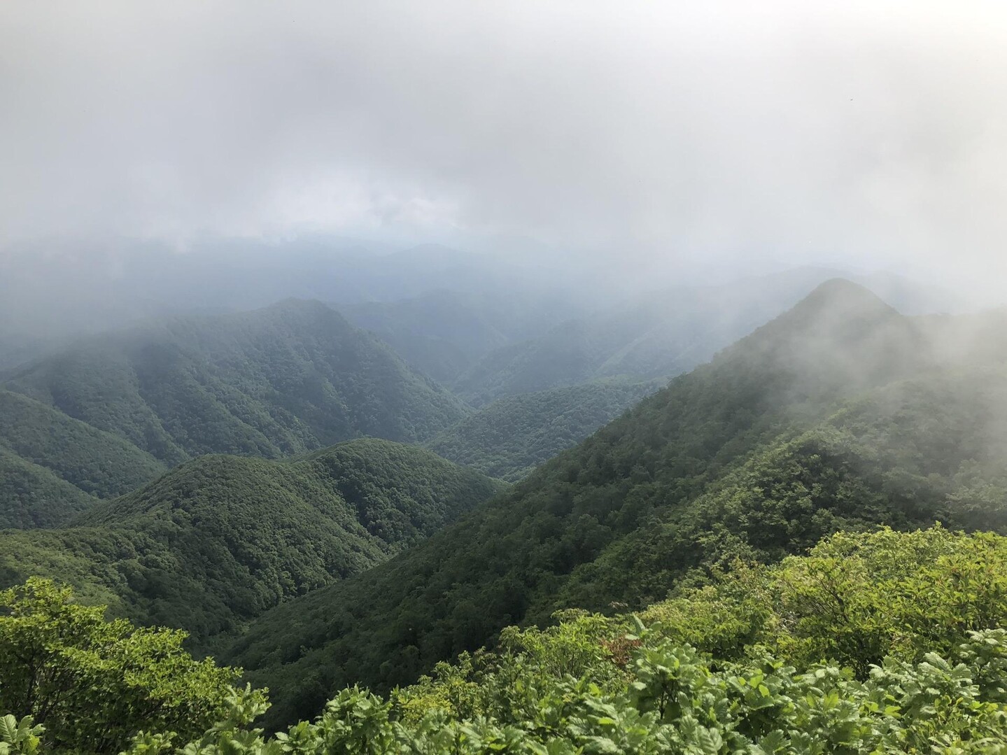 面白山 けっこう笑えない急登の連続 / dragon_zさんの面白山・神室岳・大東岳・雨呼山の活動データ | YAMAP / ヤマップ