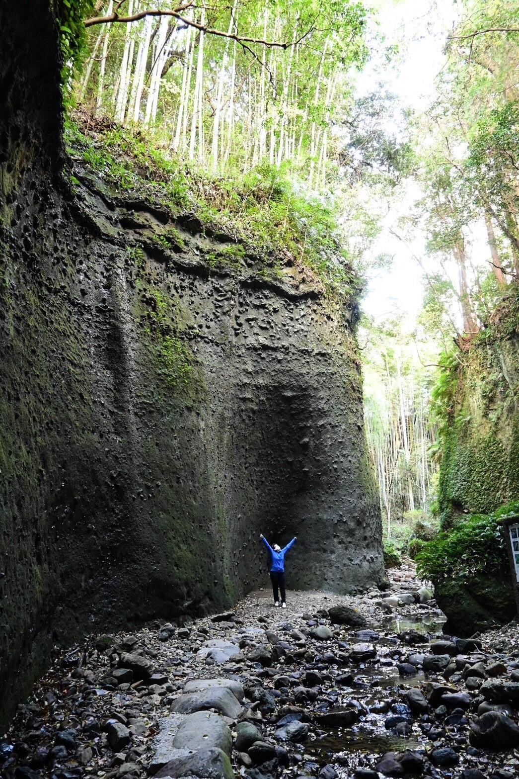 伊尾木洞 2024-12-17 / sarryさんの妙見山の活動データ | YAMAP / ヤマップ