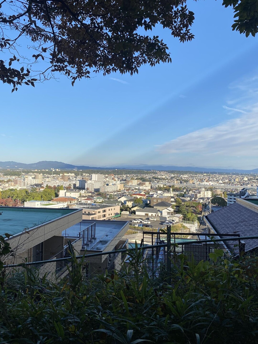 東山公園・平和公園-2024-11-23 / mmさんの東山公園・平和公園の活動データ | YAMAP / ヤマップ