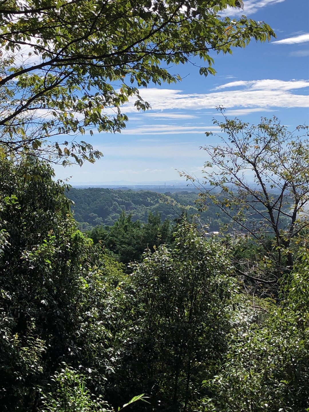 金比羅山・貝石山・榊原山 / Zak-Sanさんの金比羅山の活動データ | YAMAP / ヤマップ