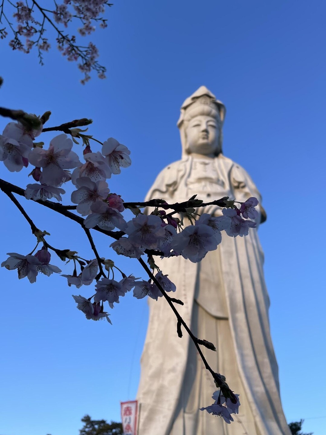 水曜KJ練(観音山) / やぽんさんの高崎市の活動データ | YAMAP / ヤマップ