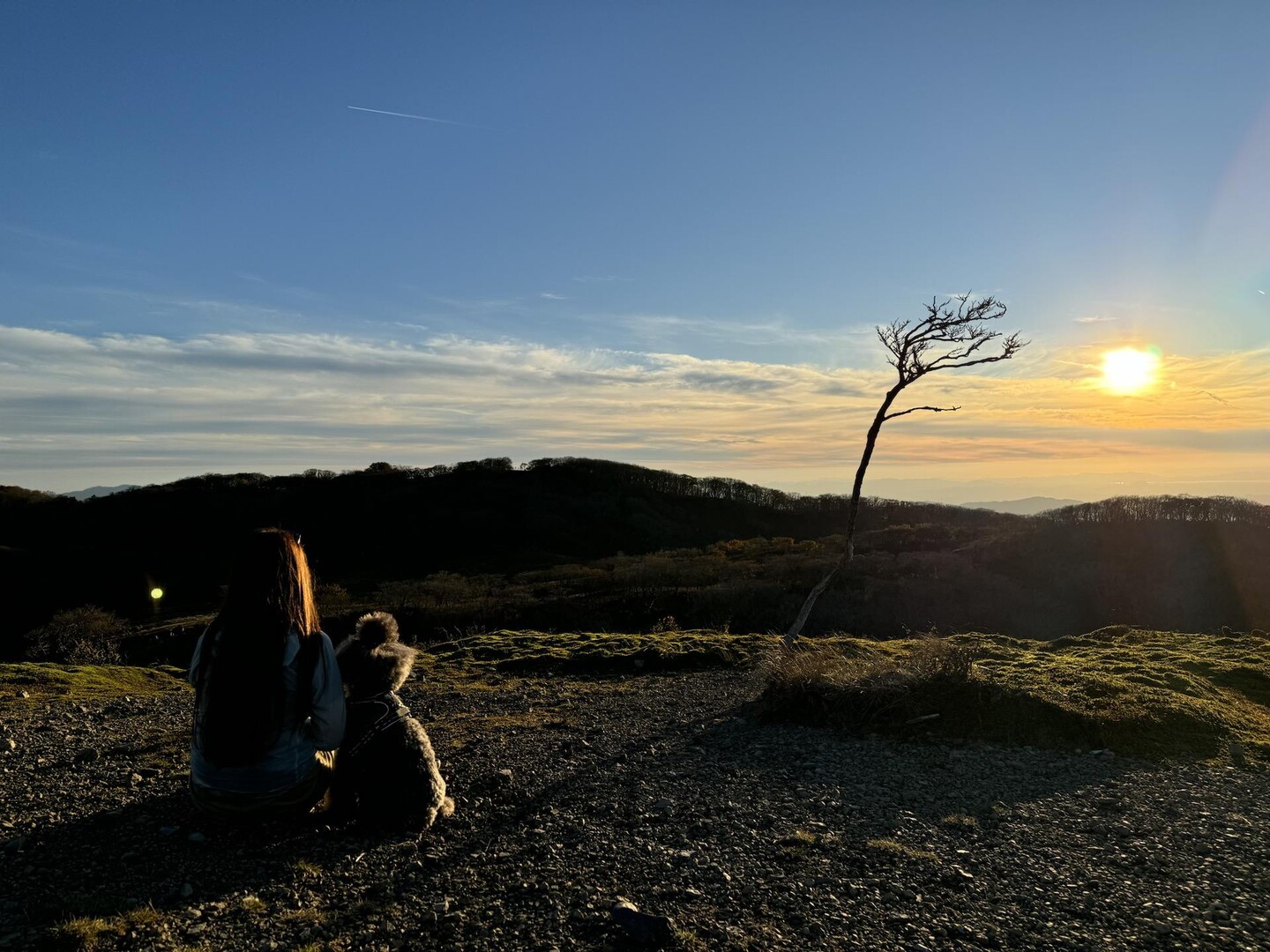 鈴北岳 sunset / Bobさんの天狗堂の活動データ | YAMAP / ヤマップ