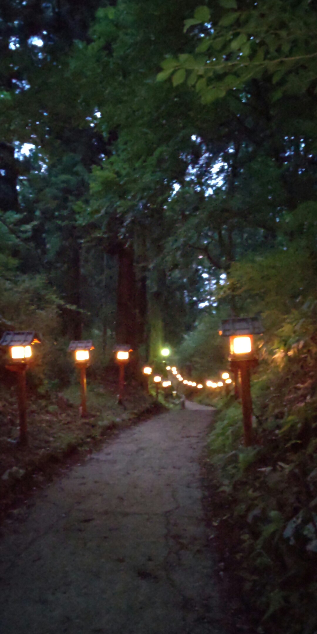 2021-08-11 暗くなるのが / uttyokoさんの金剛山・二上山・大和葛城山の活動データ | YAMAP / ヤマップ