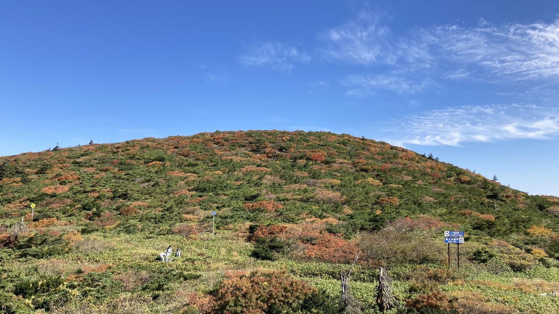 地蔵山と熊野岳へ / HKさんの蔵王山・雁戸山・不忘山の活動データ | YAMAP / ヤマップ