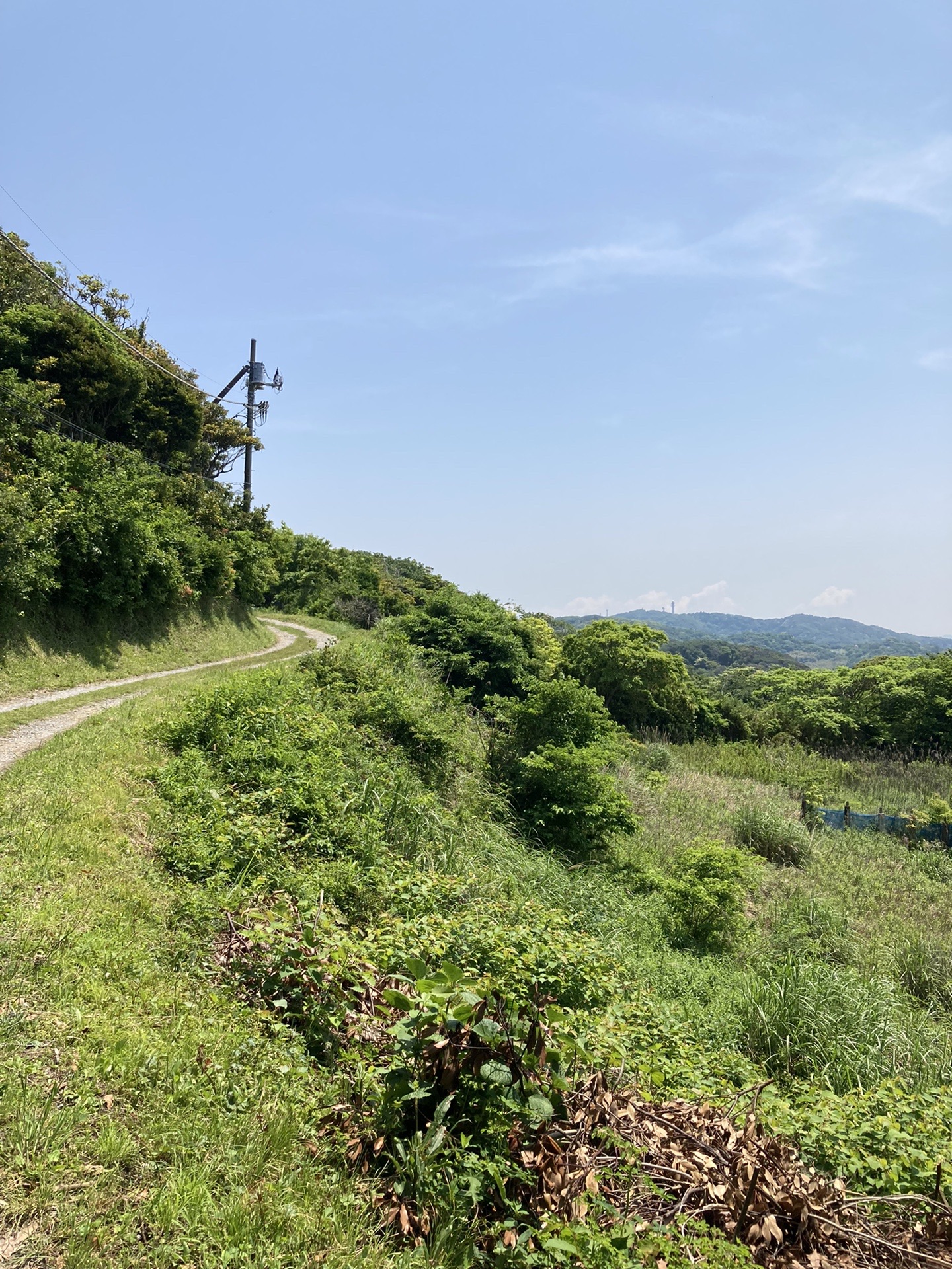 峯山(葉山公園ー峯山ー星山ー水源地ー 一色住宅) / gyamaさんの大楠山・武山・三浦富士の活動データ | YAMAP / ヤマップ